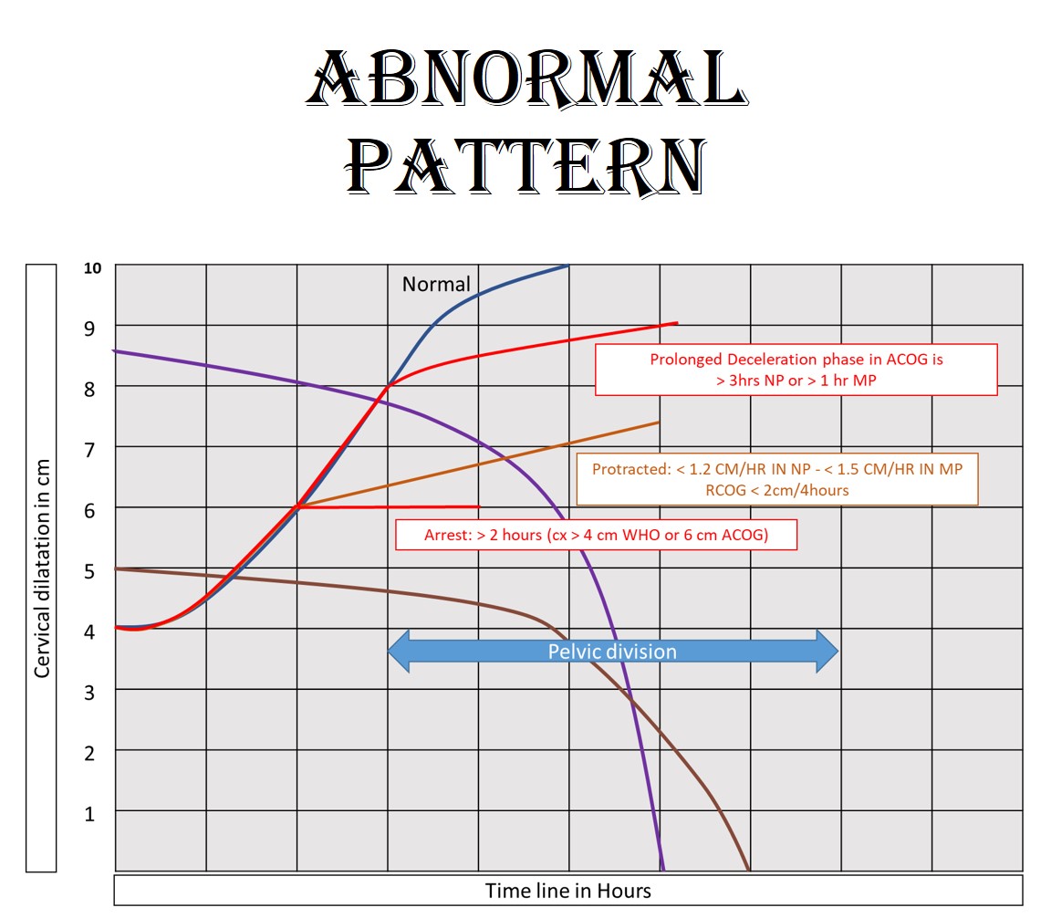 Home of OBGYN Lectures | Table1