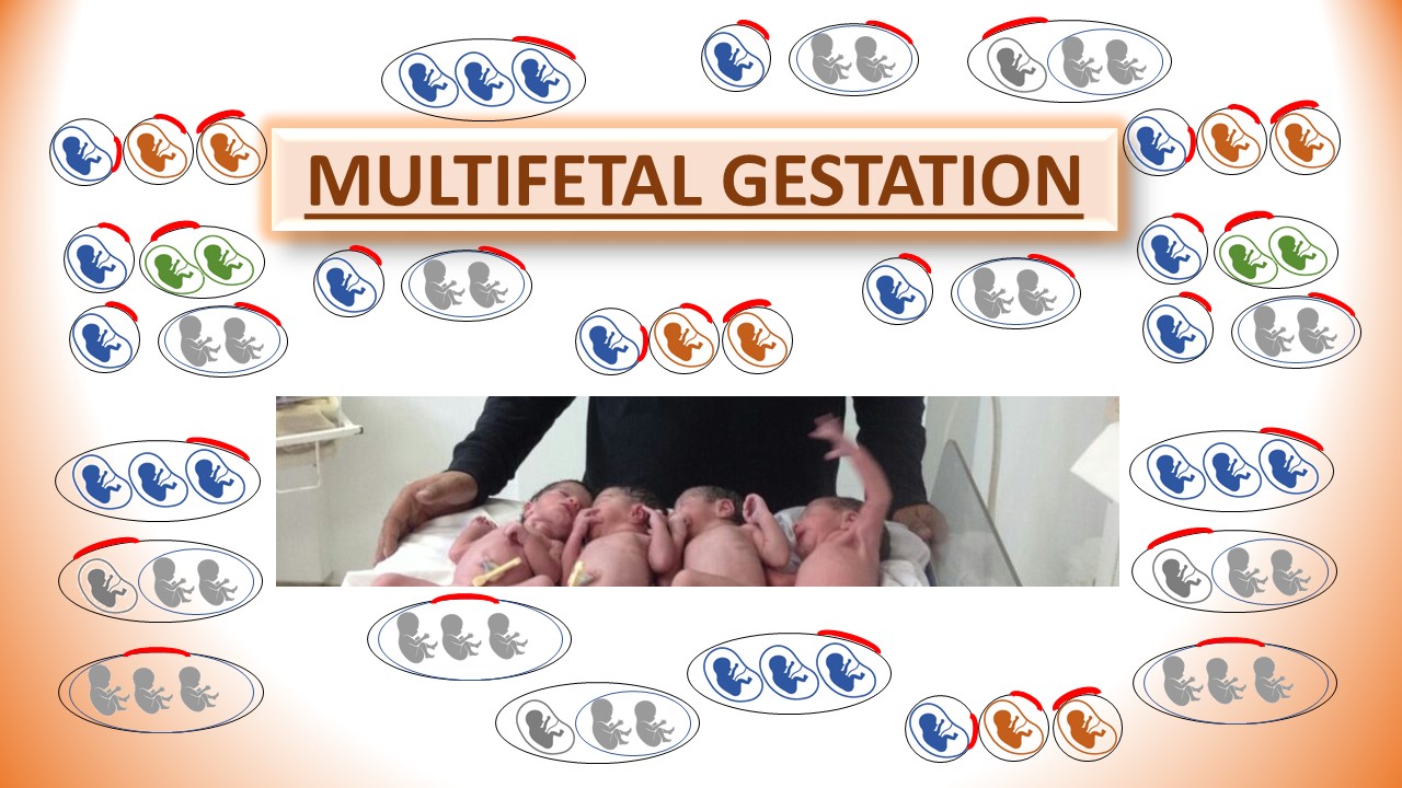 Home of OBGYN Lectures | Table1