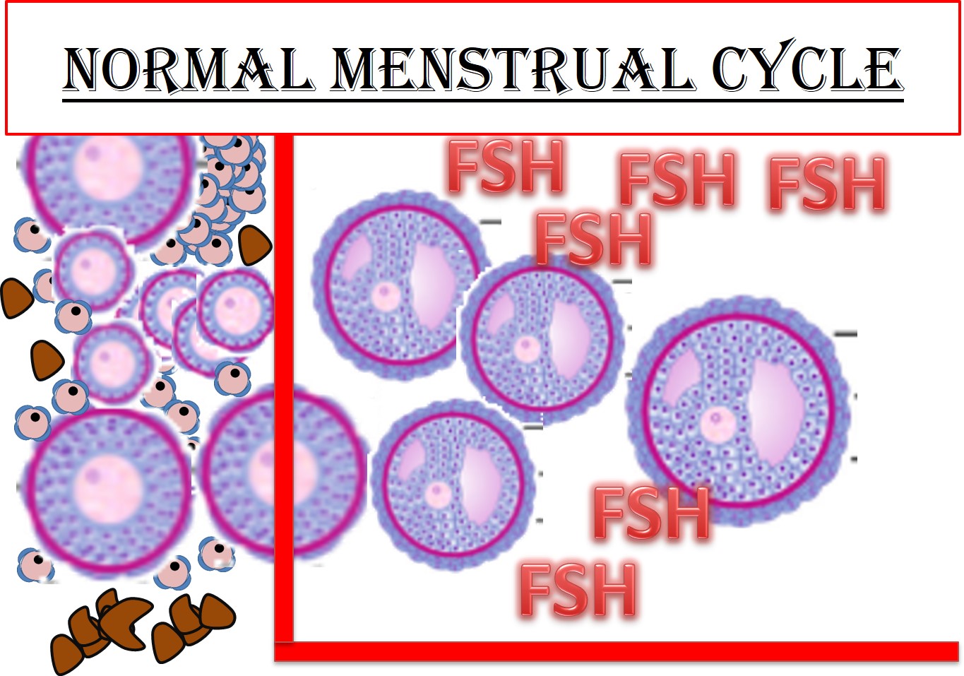 Home of OBGYN Lectures | Table1